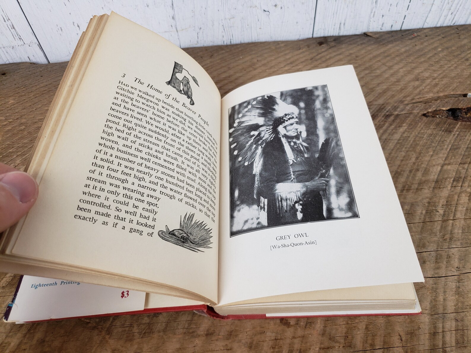 Vintage Sajo and Her Beaver People by Grey Owl Hardcover Book - Etsy