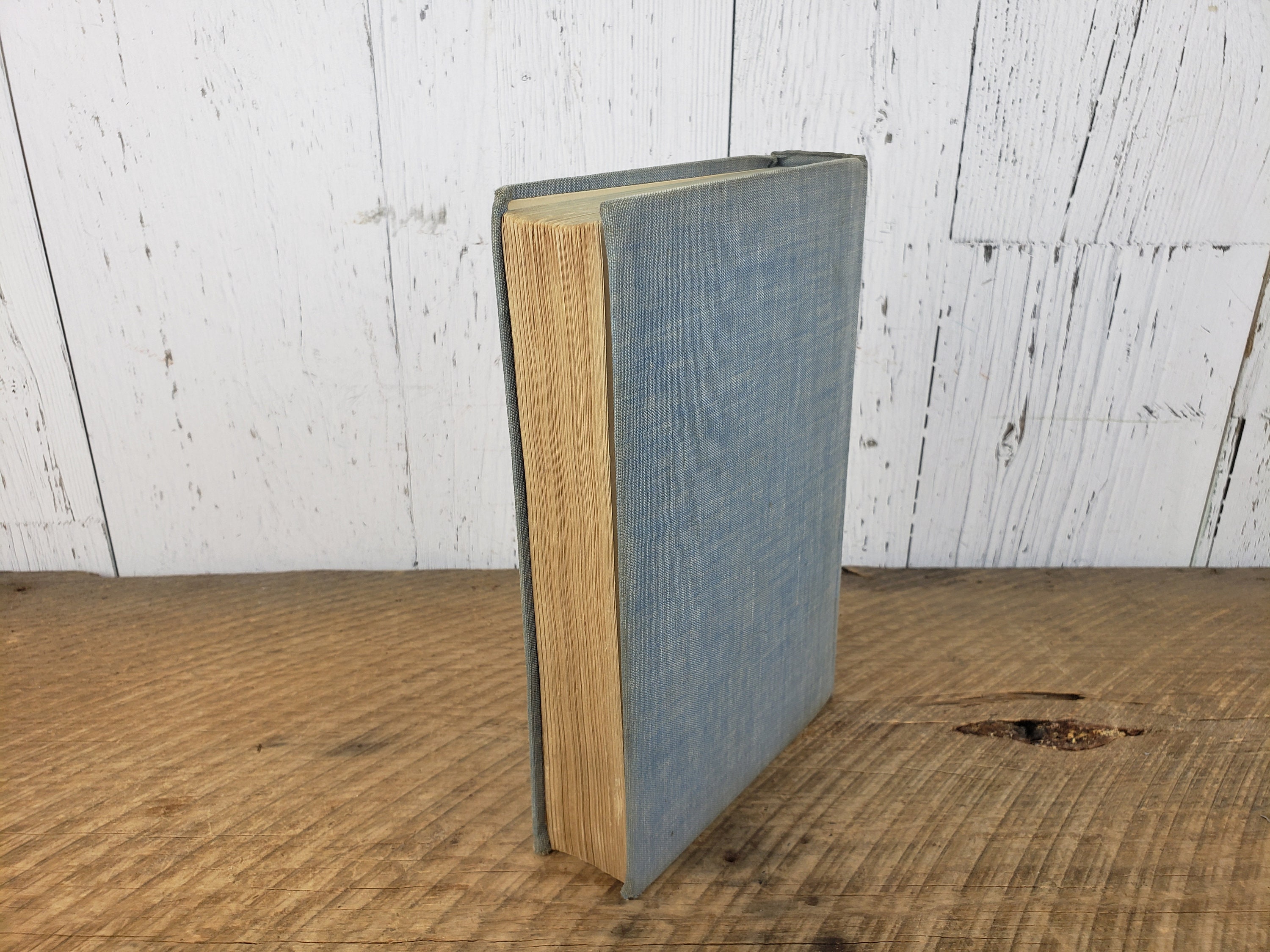 Vintage the Rock and the River by Ralph Connor Hardcover Book - Etsy