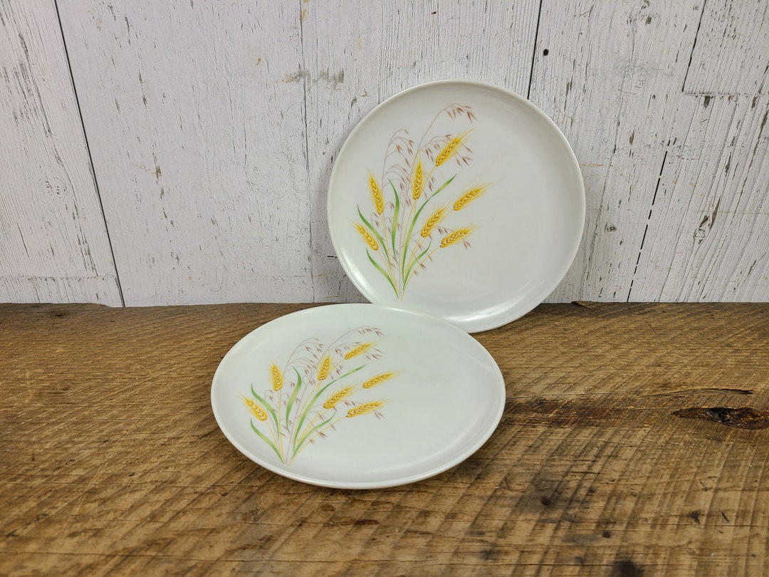 Vintage Set of 2 Melmac by Maplex Plates Wheat Pattern Melamine Dishes ...