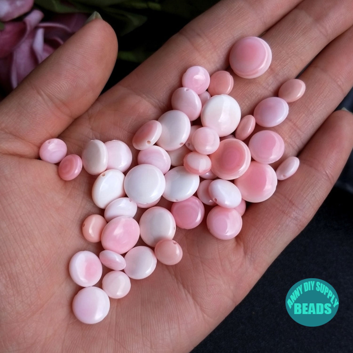 Pink Queen Conch Shell Beadspink Shell Coin Beadsnatural - Etsy