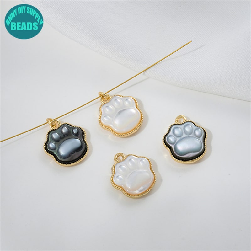 Cats Paw Shell - Etsy