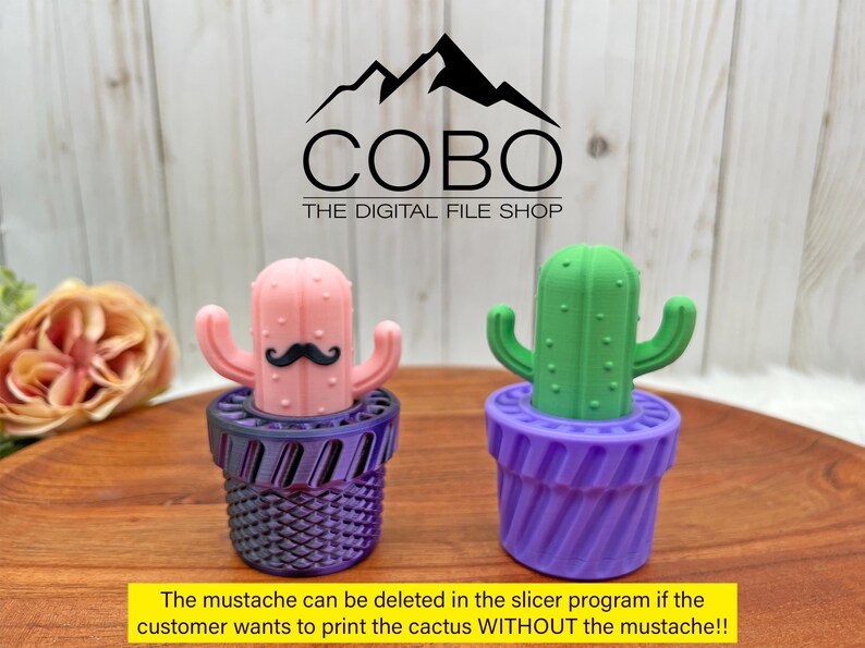 Mustache Cactus Gift Container Digital STL File for 3D Printing ...