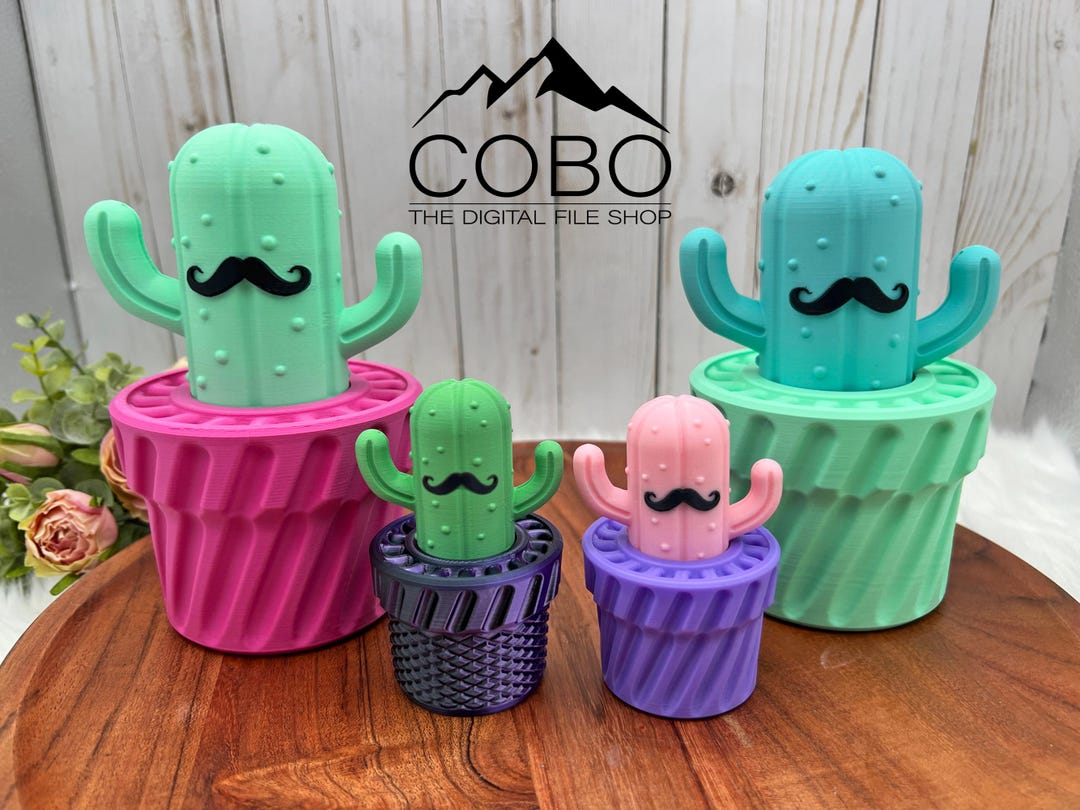 Mustache Cactus Gift Container Digital STL File for 3D Printing ...