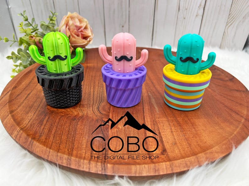 Mustache Cactus Gift Container Digital STL File for 3D Printing ...
