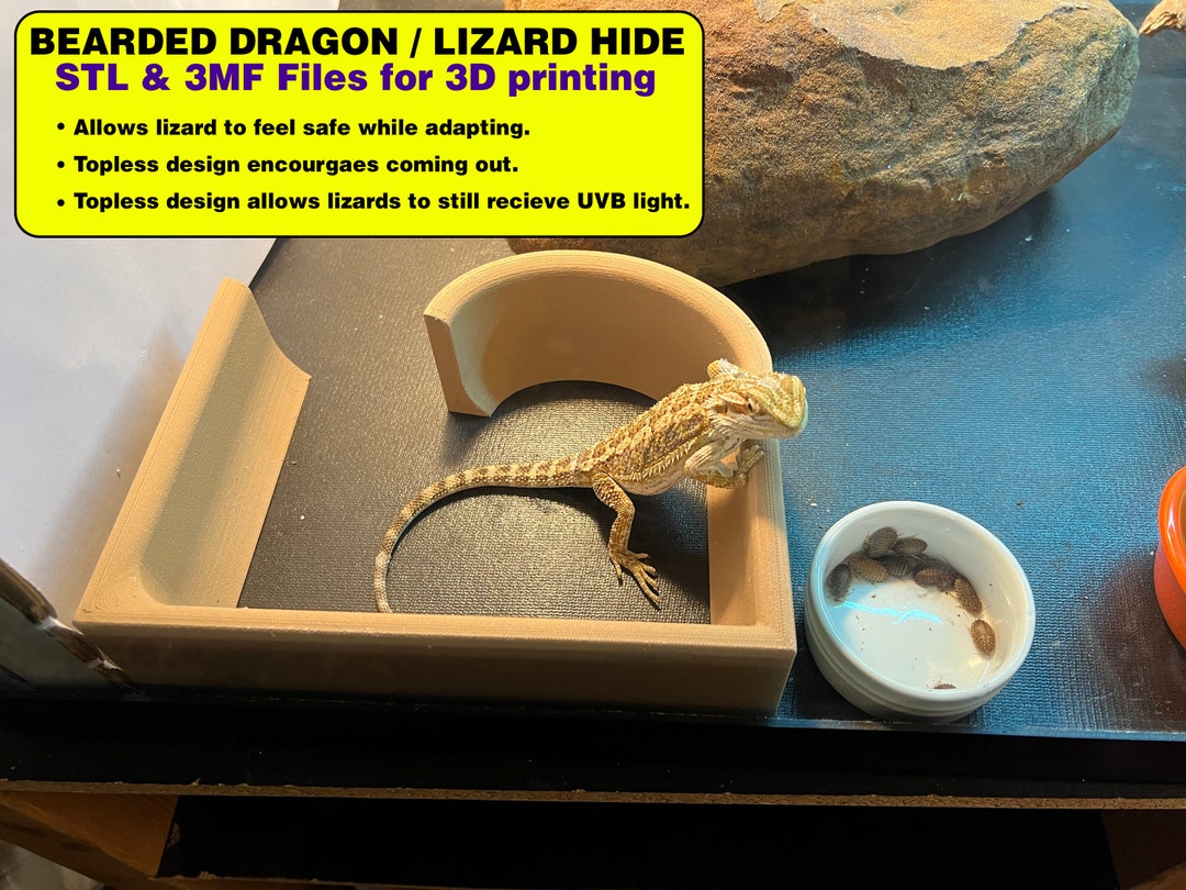 Bearded Dragon Hide STL and 3MF, Lizard Hide STL and 3MF for 3D ...