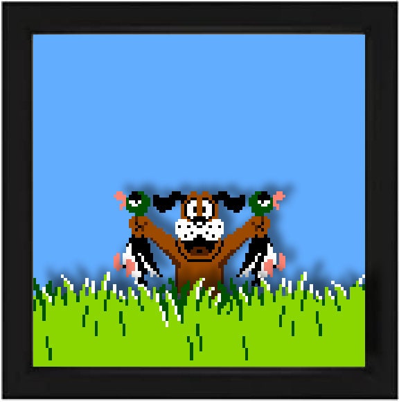 Pixel Duck Hunt Ducks