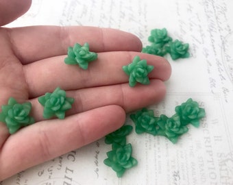 Succulent Magnets or Pushpins, Cactus Magnets or Pushpins, Succulent ...