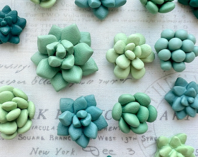 Succulent Magnets or Pushpins, Cactus Magnets or Pushpins, Succulent ...