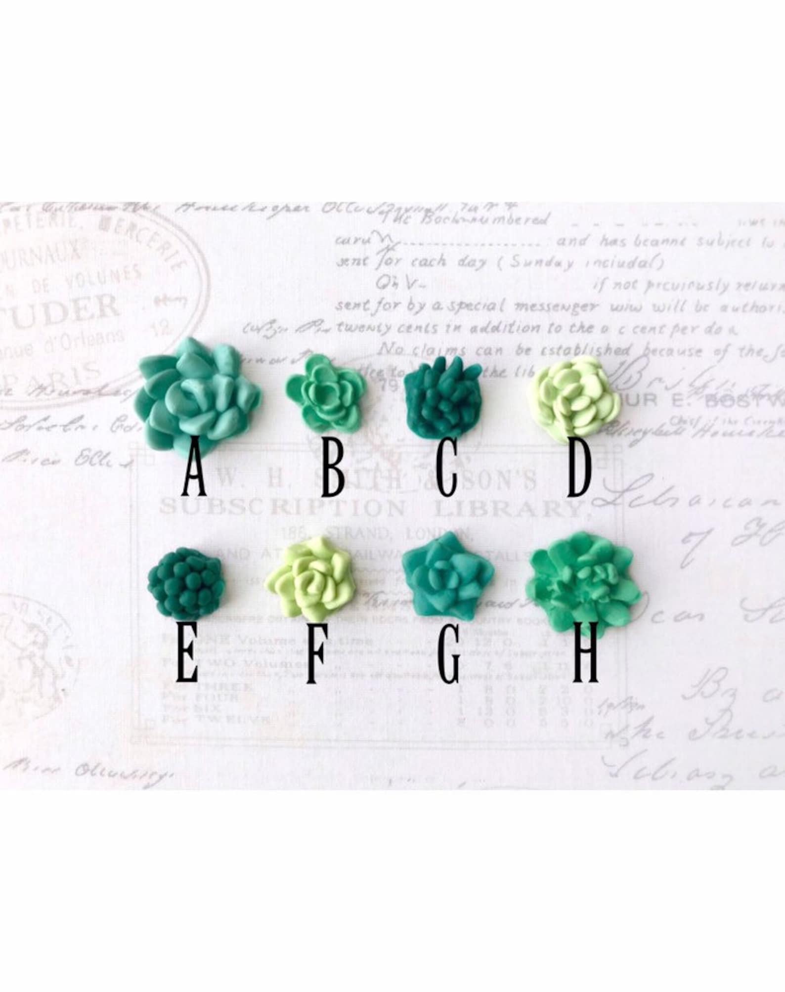 Succulent Magnets or Pushpins Cactus Magnets or Pushpins - Etsy