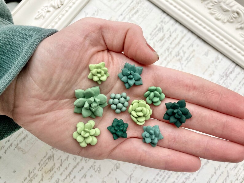Succulent Magnets or Pushpins Cactus Magnets or Pushpins - Etsy