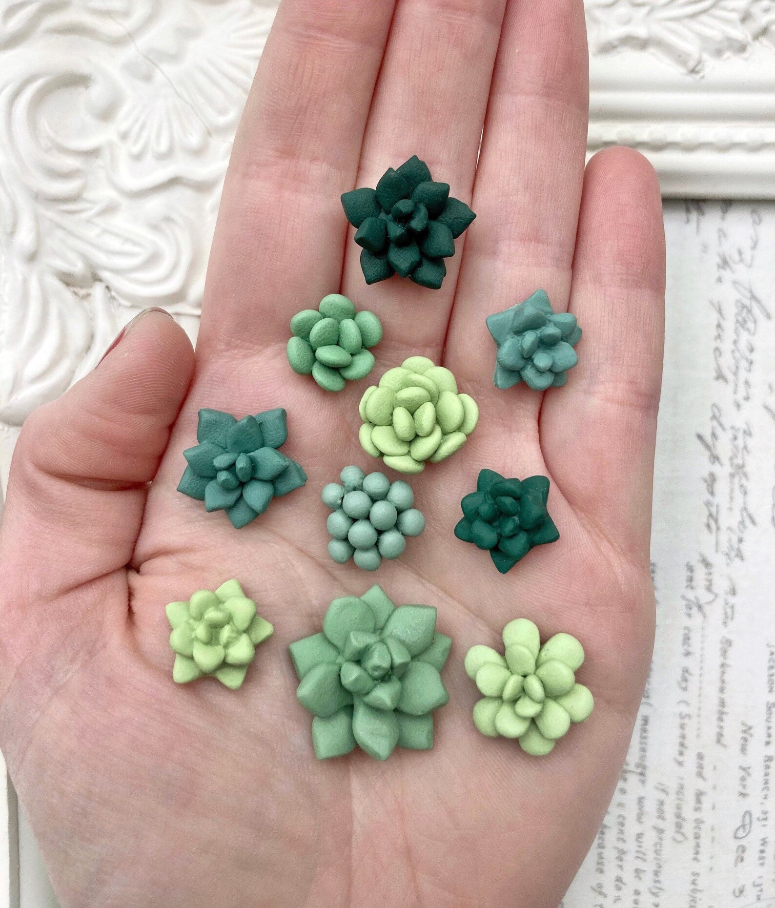Succulent Magnets or Pushpins Cactus Magnets or Pushpins - Etsy