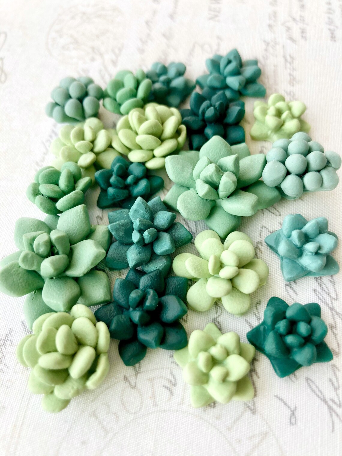 Succulent Magnets or Pushpins Cactus Magnets or Pushpins - Etsy