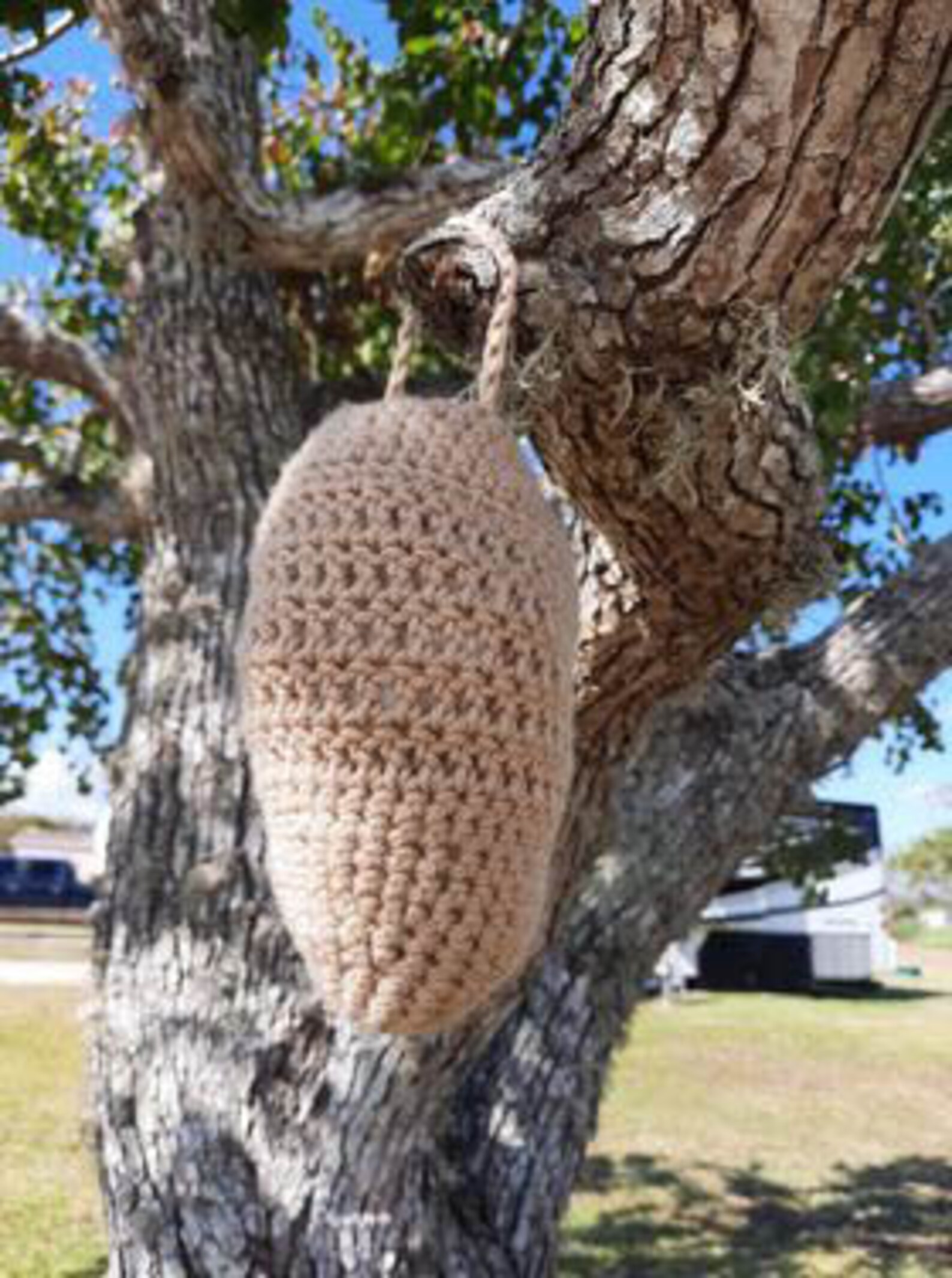 Crochet Pattern for Fake Wasp Nest - Etsy