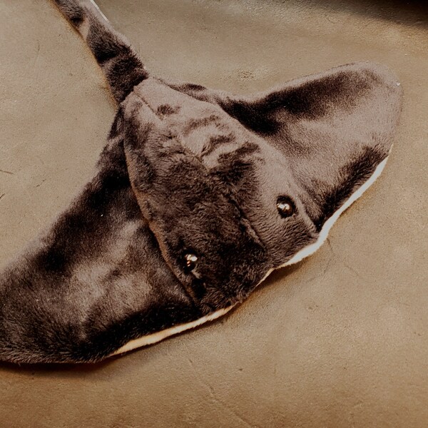 Sea Pancake Plush - Etsy
