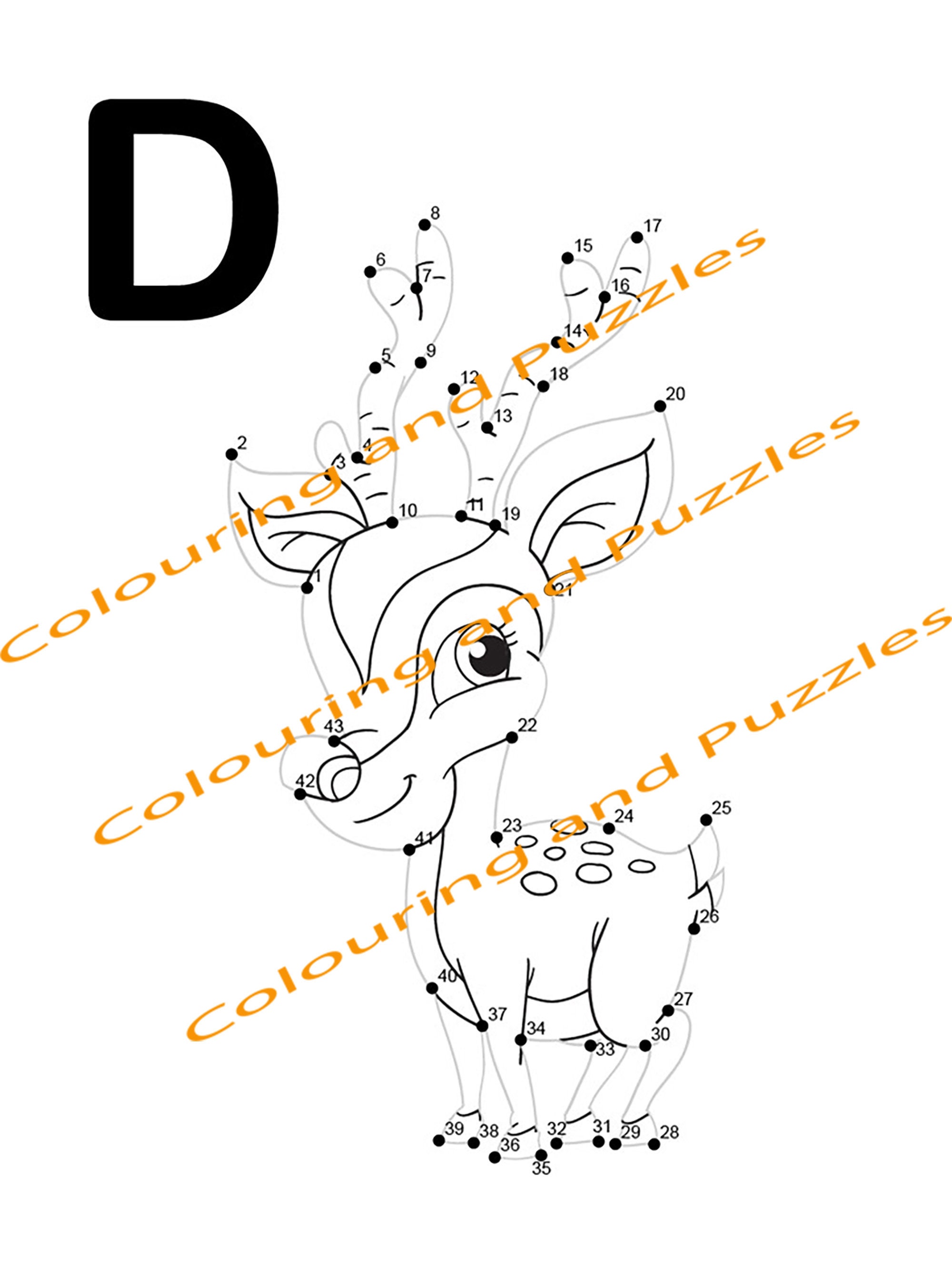 Kid's Jungle Activity Kit Drawing Printable Digital - Etsy