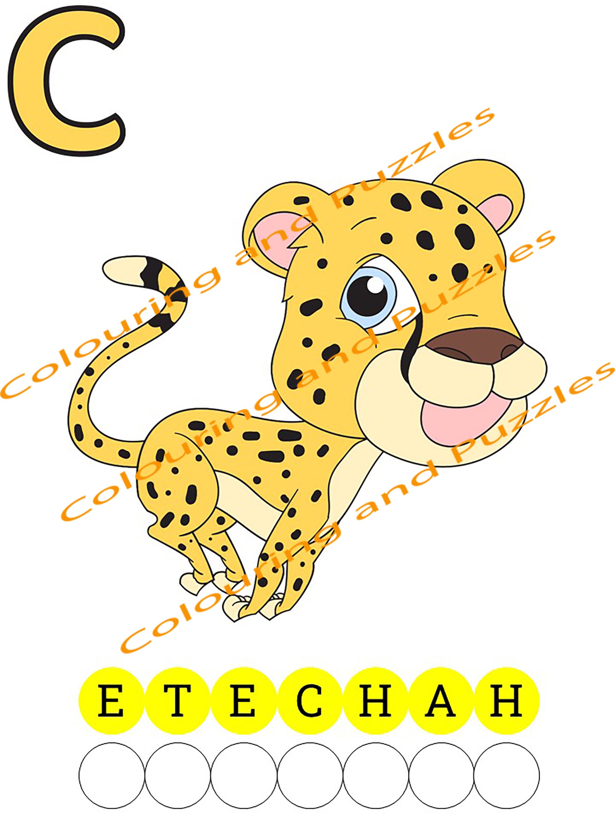 Kid's Jungle Activity Kit Drawing Printable Digital - Etsy