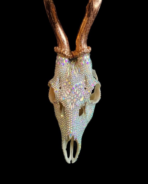 Crystal Roe Deer Skull ethically Sourced With Bronze Antlers | Etsy