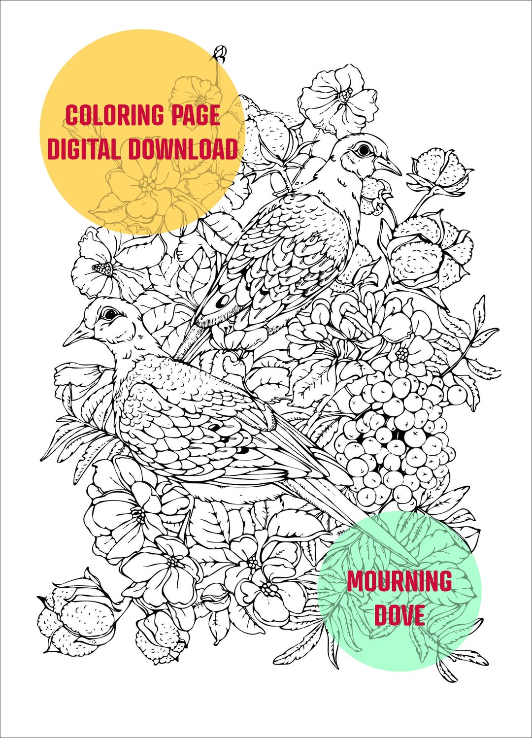 Mourning Dove Coloring Page, Digital Download File, DIY Painting and ...