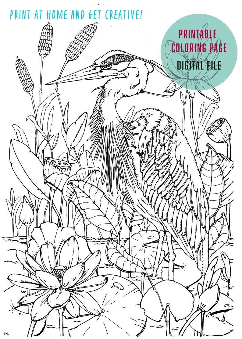 Coloring Page Digital Download, Great Blue Heron & Lilly Pond ...