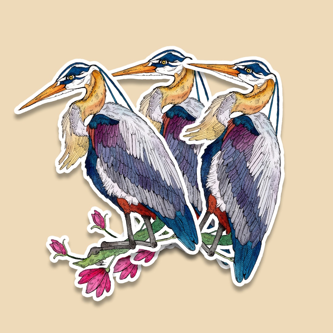 Large Vinyl Sticker, Great Blue Heron Vinyl Sticker, Sticker for Campers Laptops Bottles Cups ...