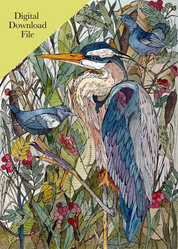 Great Blue Heron Digital Download Print Waterbird Art Print - Etsy