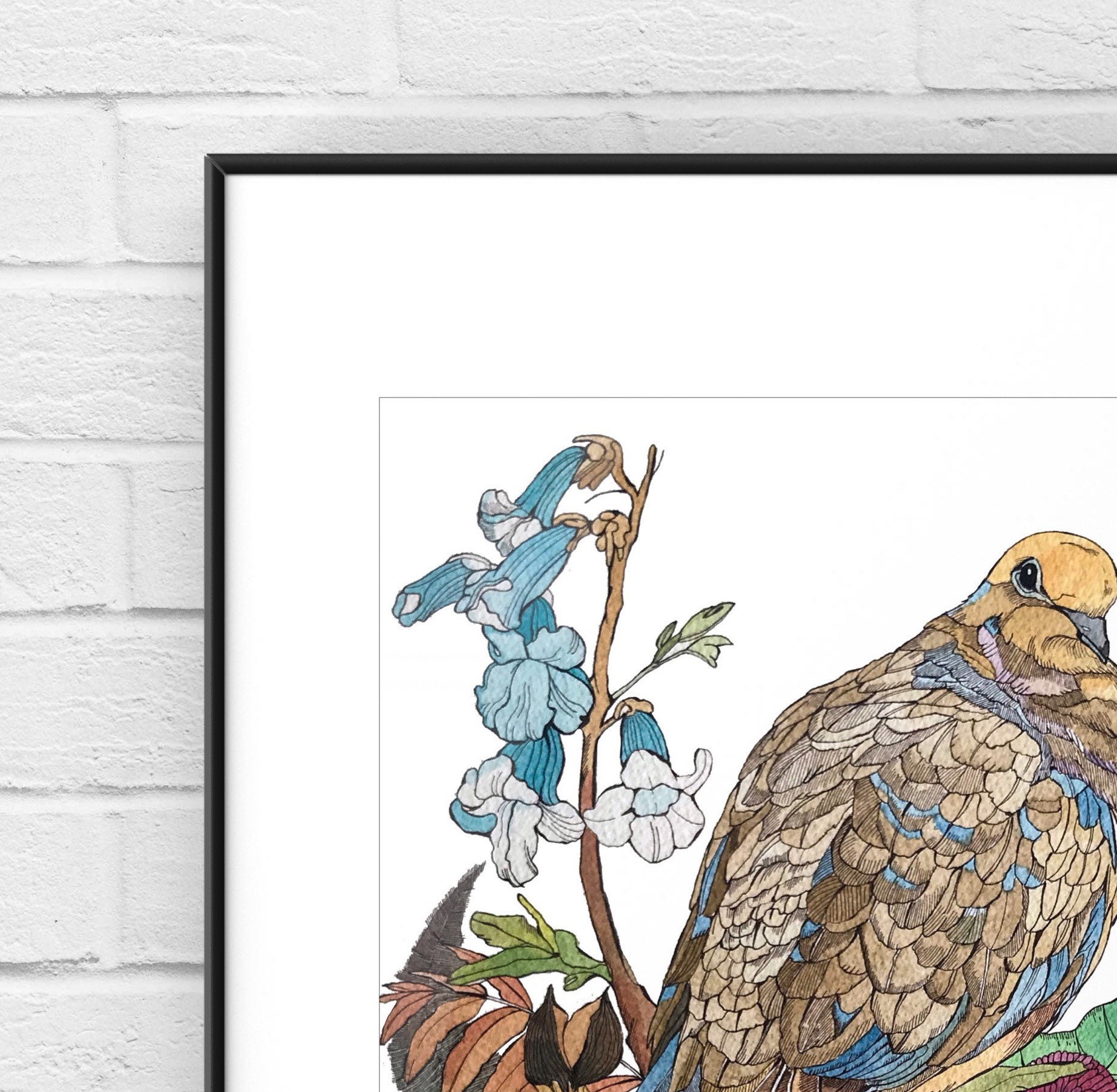 Mourning Dove Art Print. Watercolor Painting Print. Dove | Etsy