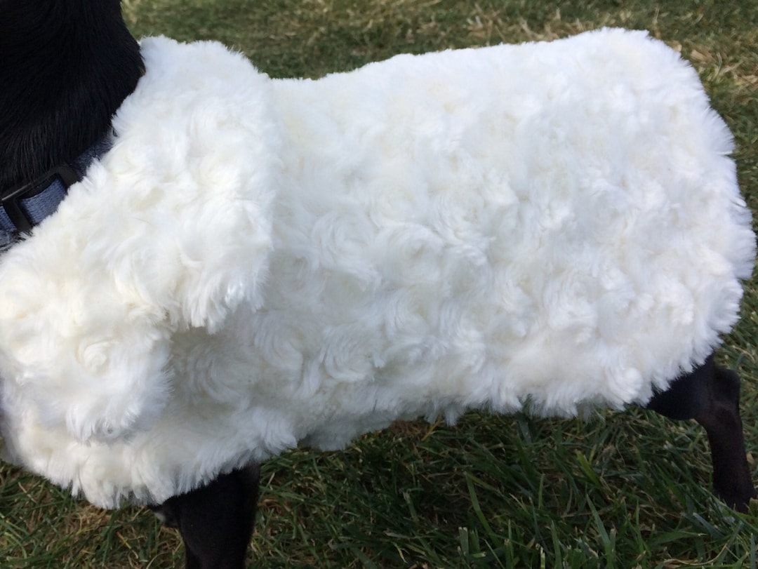 Custom Faux Fur Dog Coat, Custom Couture Fur Dog Coat - Etsy