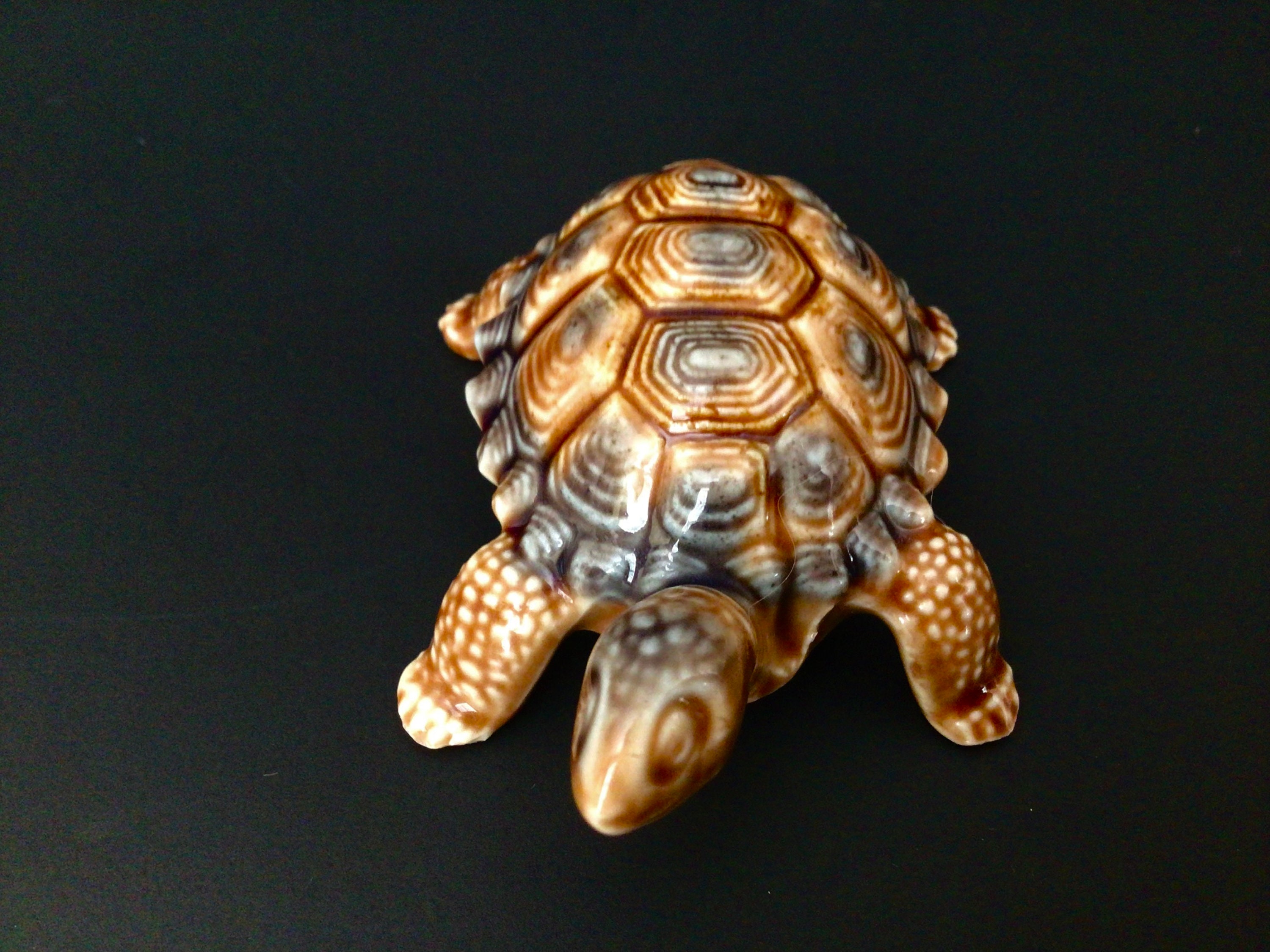 Wade English Turtle - Etsy