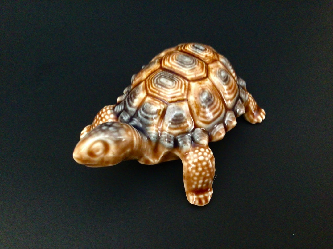 Wade English Turtle - Etsy