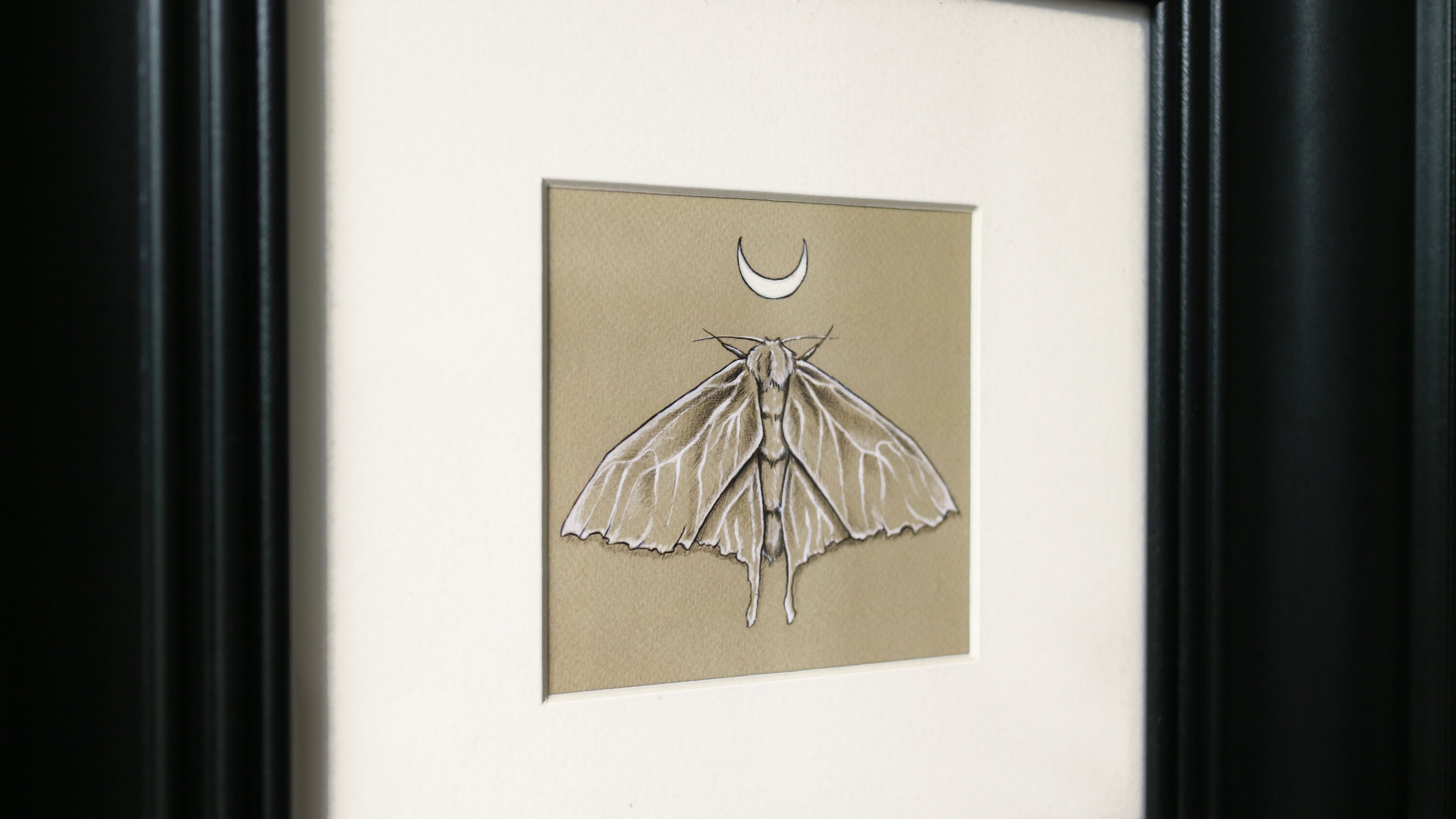 Lunar Moth Paper Art Print. Moth and Moon Wall Decor. Dark - Etsy