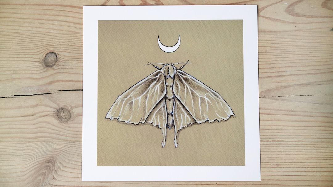 Lunar Moth Paper Art Print. Moth and Moon Wall Decor. Dark Art ...