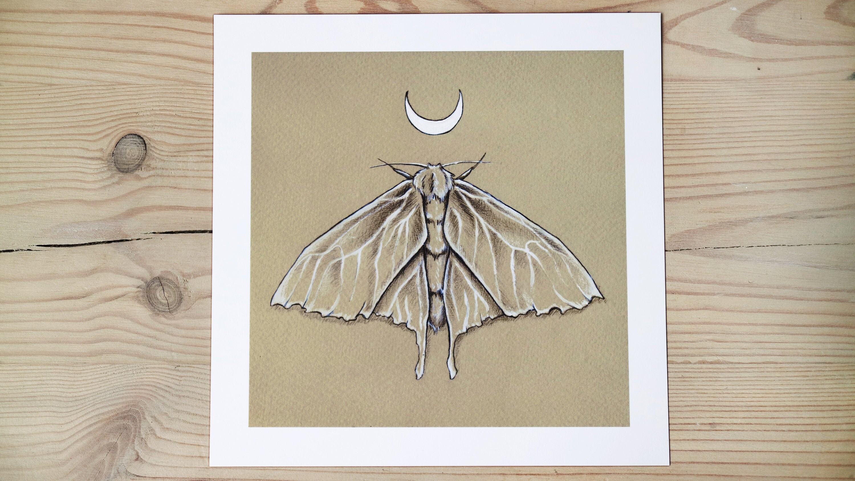 Lunar Moth Paper Art Print. Moth and Moon Wall Decor. Dark - Etsy