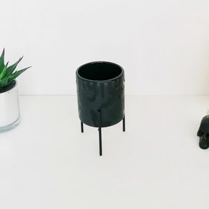 Bats Planter Pot, Bat Indoor Planters, Gothic Plant Stand, Goth ...