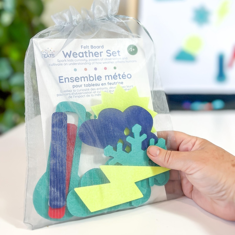 Weather Chart - Etsy