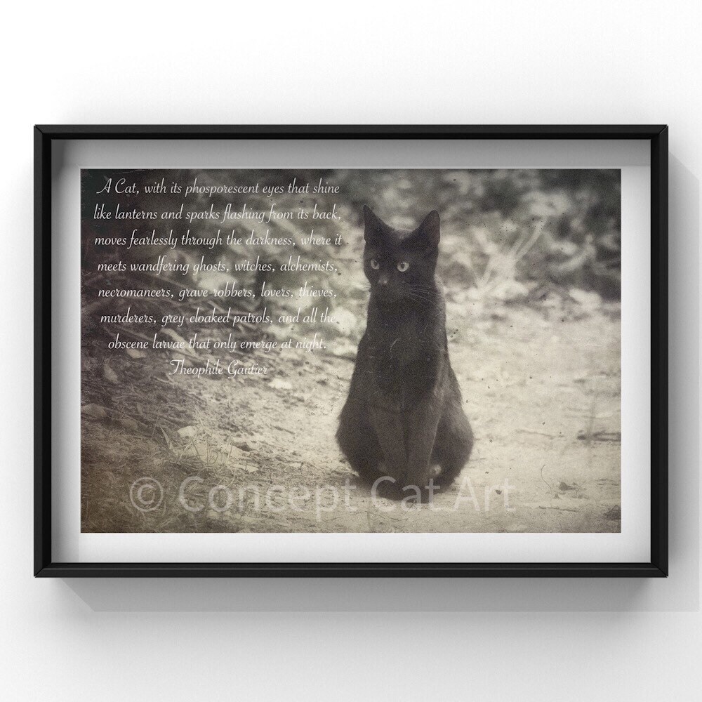 Black Cat Photo Print Theophile Gautier Poem Illustration for - Etsy Israel