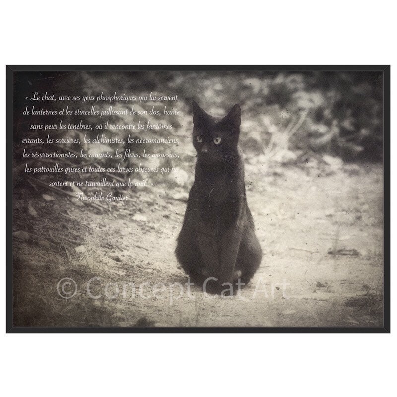 Black Cat Photo Print Theophile Gautier Poem Illustration for - Etsy Israel