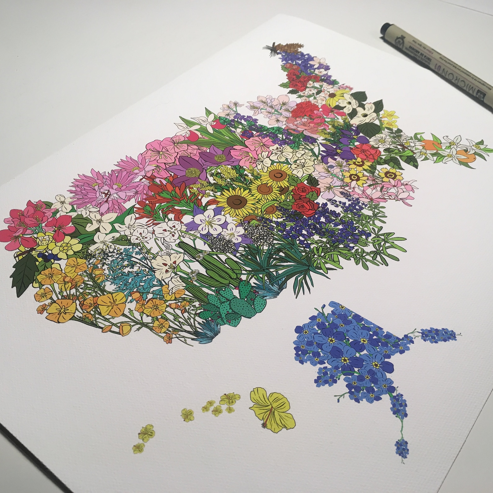 State Flower Map - Etsy