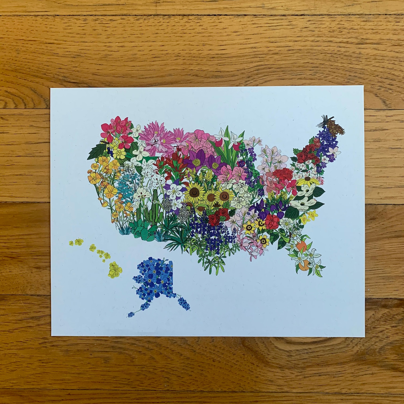 State Flower Map - Etsy