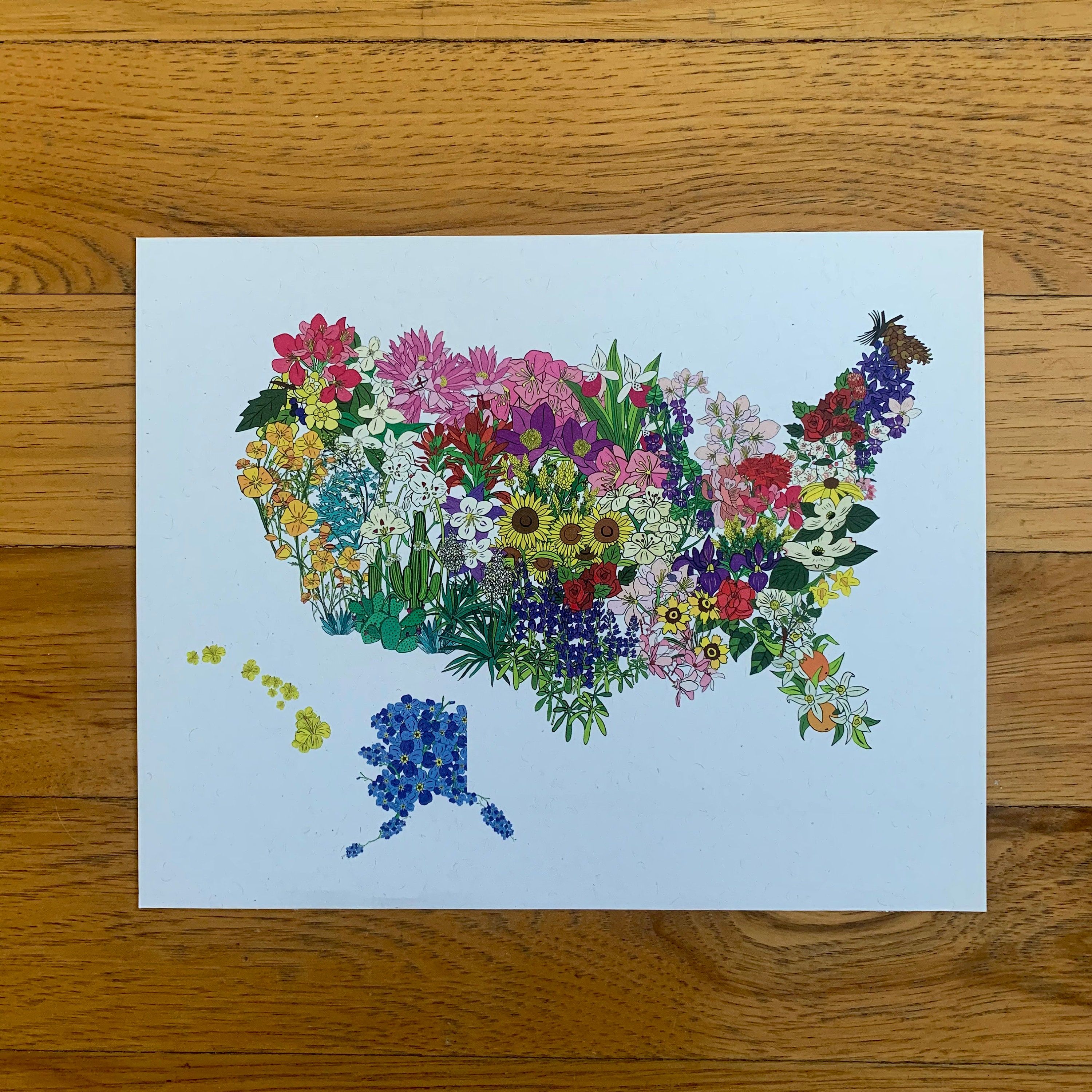 State Flower Map - Etsy