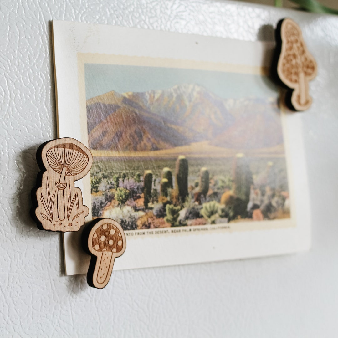Fungi Magnet Pack: Cute Mushroom Magnets Mushroom Gift Stocking Stuffer ...