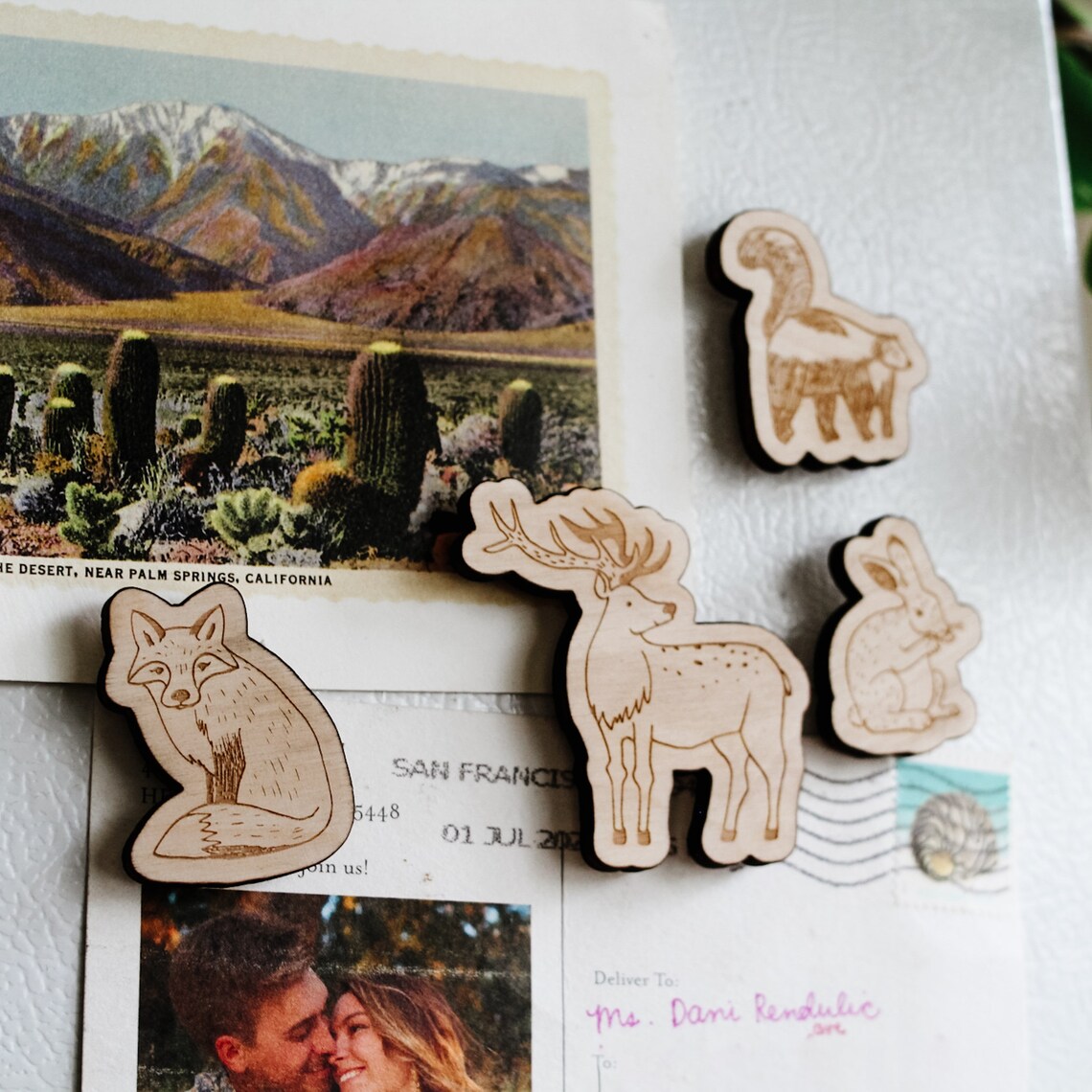 Woodland Creature Magnet Pack of 4: Whimsical Forest Animal Magnets ...