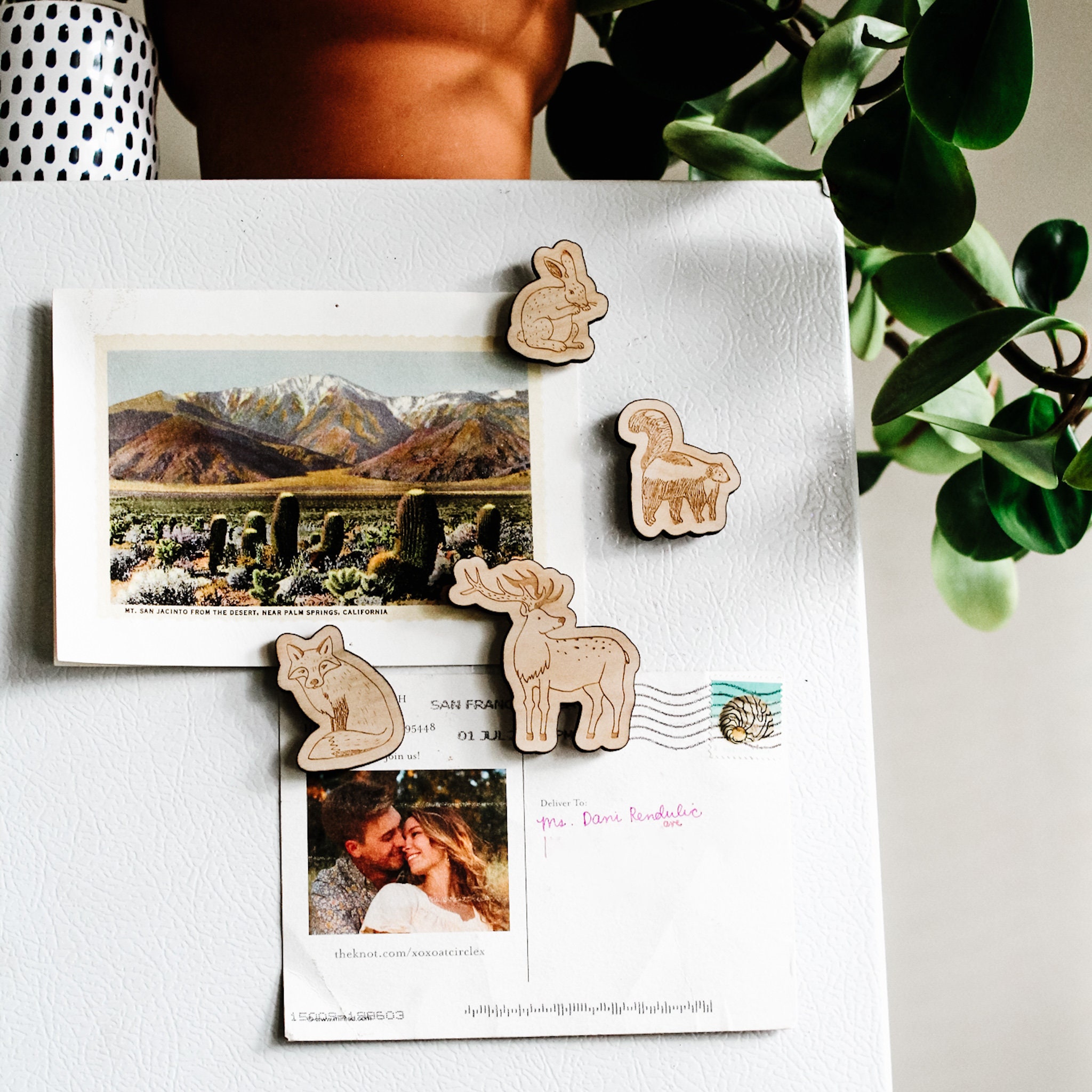 Woodland Creature Magnet Pack of 4: Whimsical Forest Animal Magnets ...