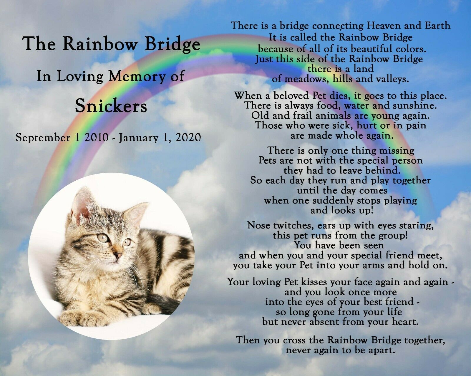 Rainbow Bridge Poem For Cats