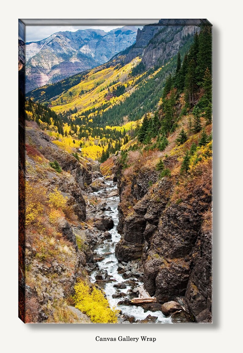 Mountain Stream Carving Its Way Down the Canyon Rocks Among the Forest ...
