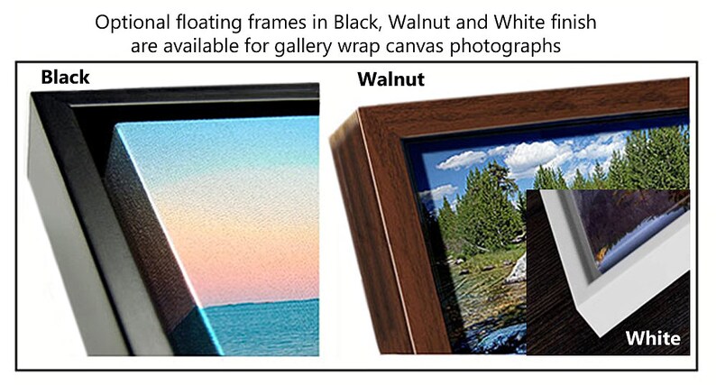 Floater Frames for Gallery Wrap Canvas Photographs - Only Available ...