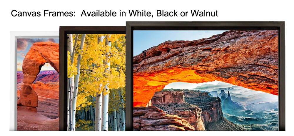 Floater Frames for Gallery Wrap Canvas Photographs - Only Available ...
