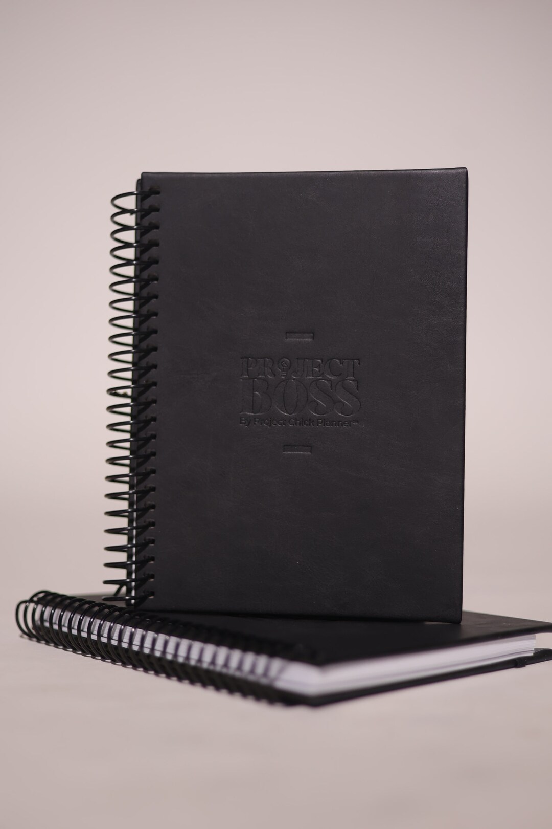 Project Boss - Undated Planner and Notebook for Project Task Management ...