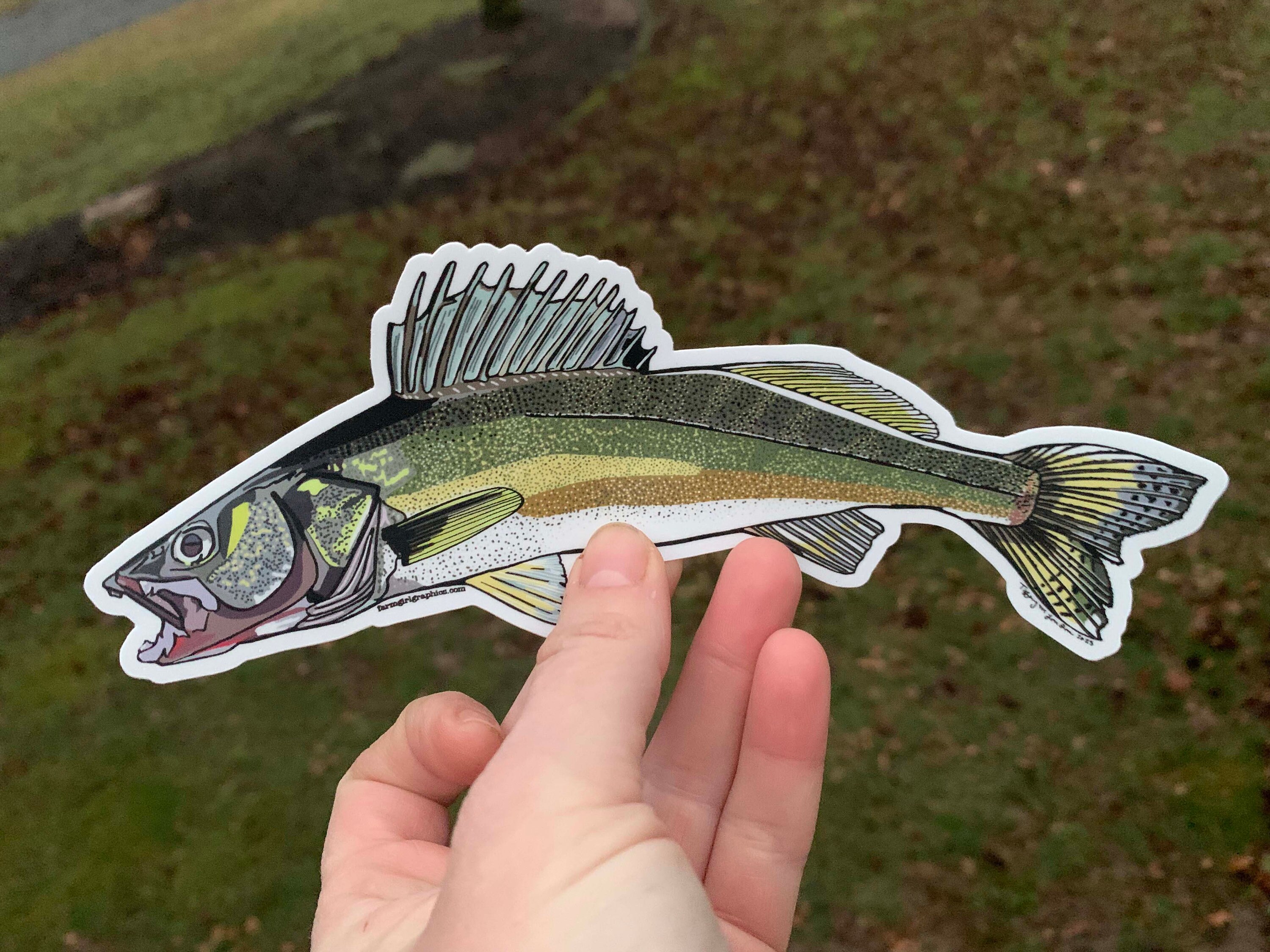 Walleye Vinyl Decal - Etsy