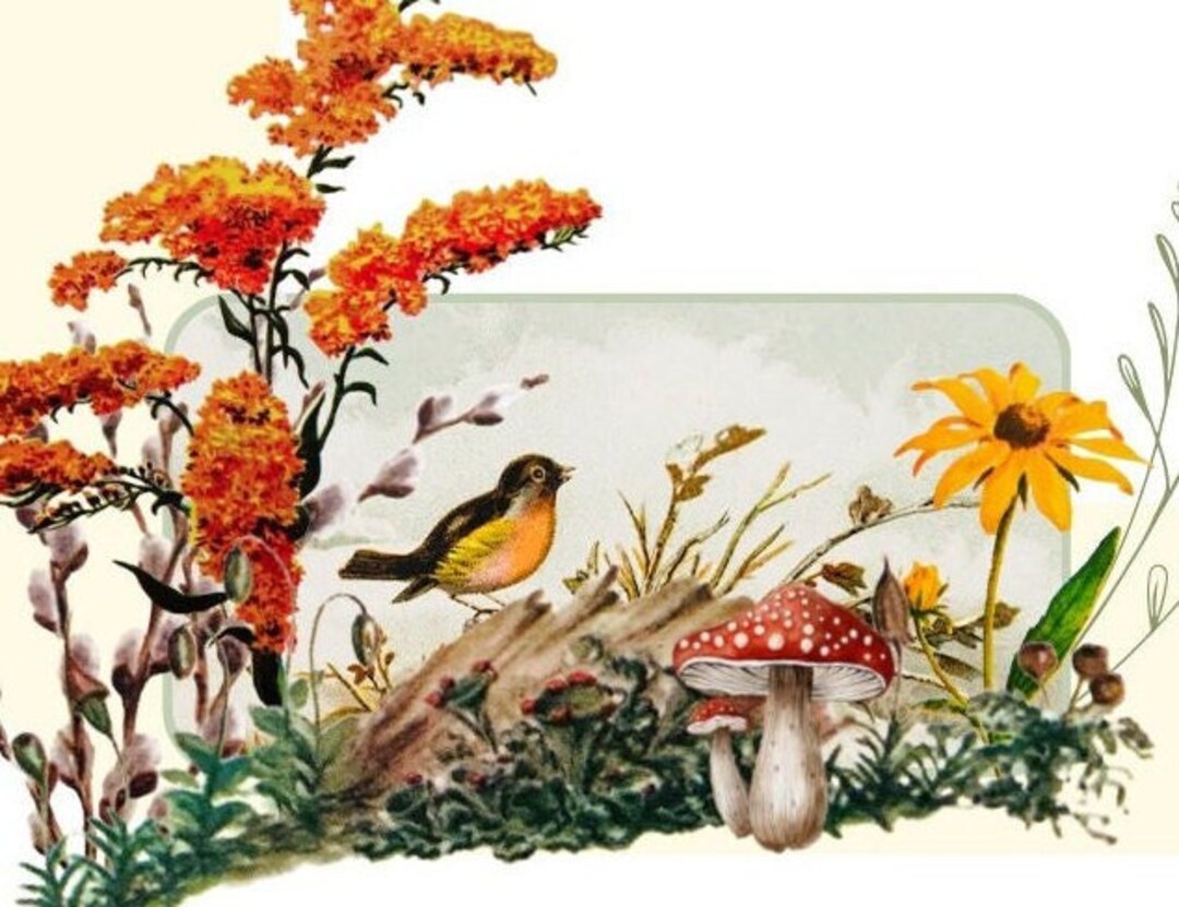 Vintage Nature Ephemera, Digital Download Printable Stationery, Nature ...