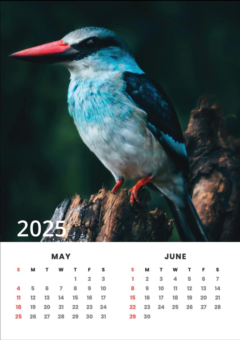Printable 2025 Birds Calendar A3, A4, A5 - Etsy